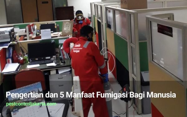 Pengertian dan 5 Manfaat Fumigasi Bagi Manusia | FUMIDA